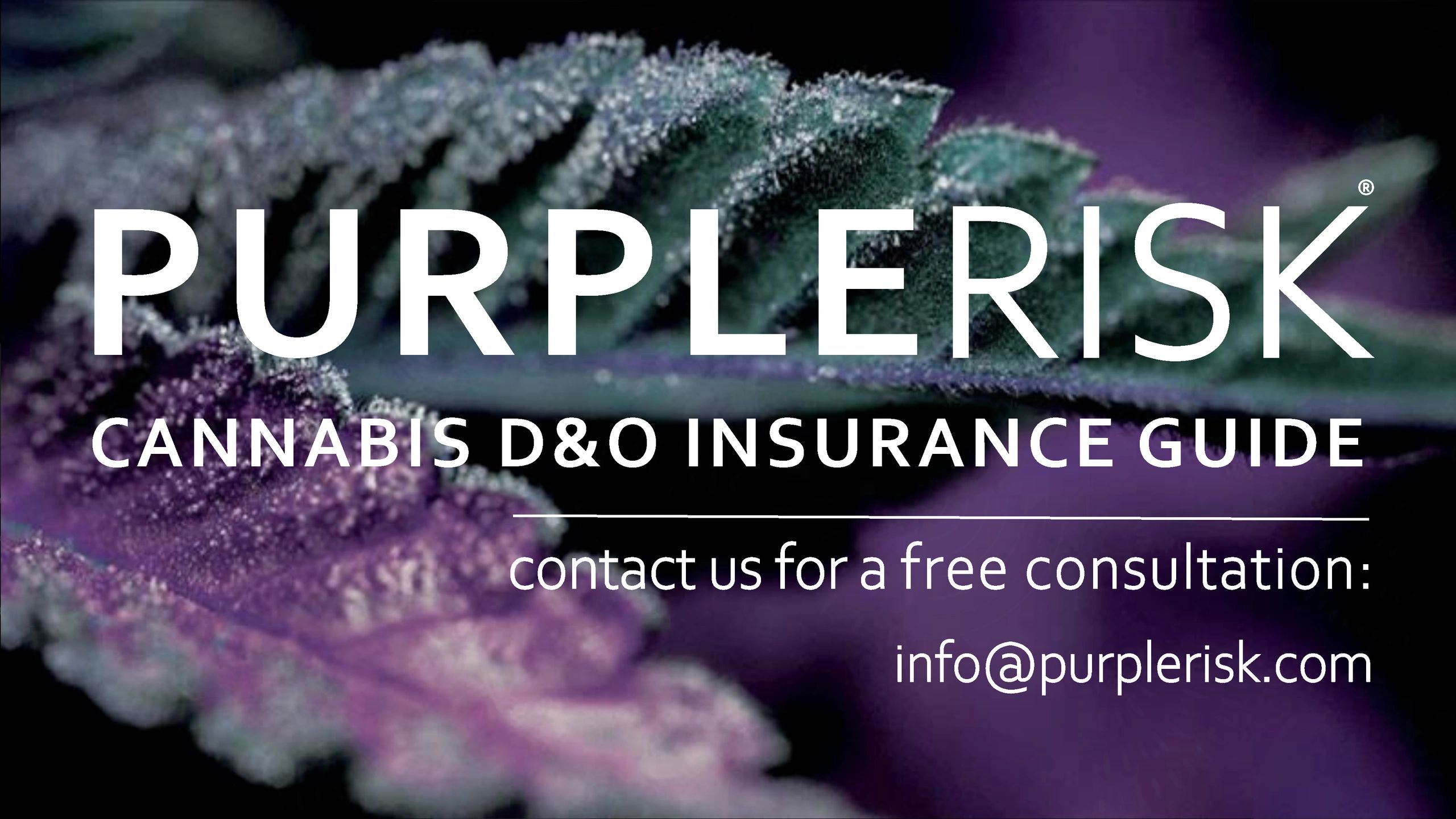 Private Cannabis Company D&O Liability Insurance Guide (Part I)