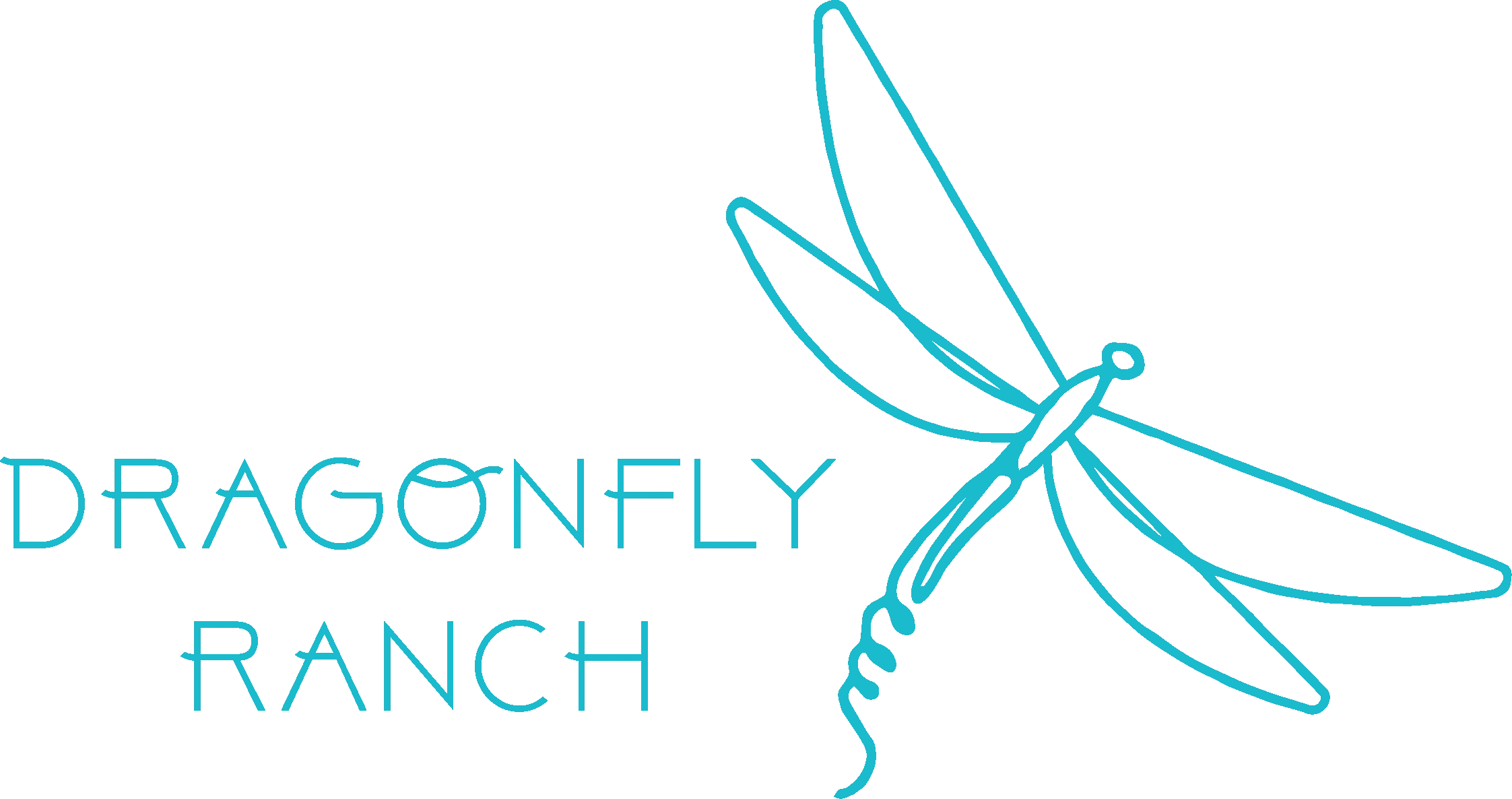 Camps | Dragonfly Ranch