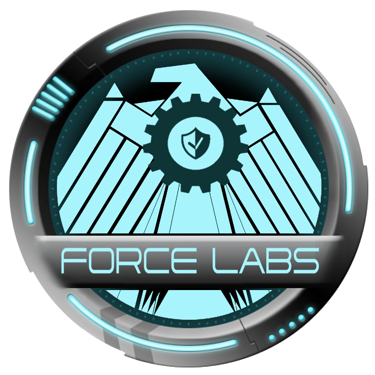 HOME [forcelabs.org]