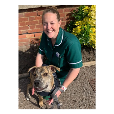 Meet the team | Veterina