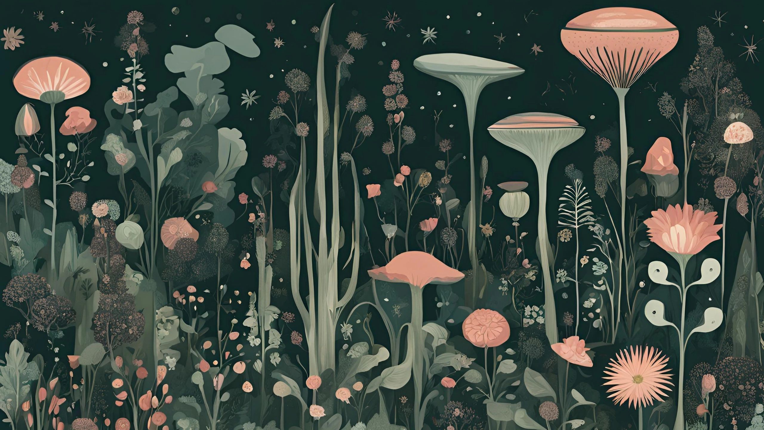 HOME [wildroottarot.com]