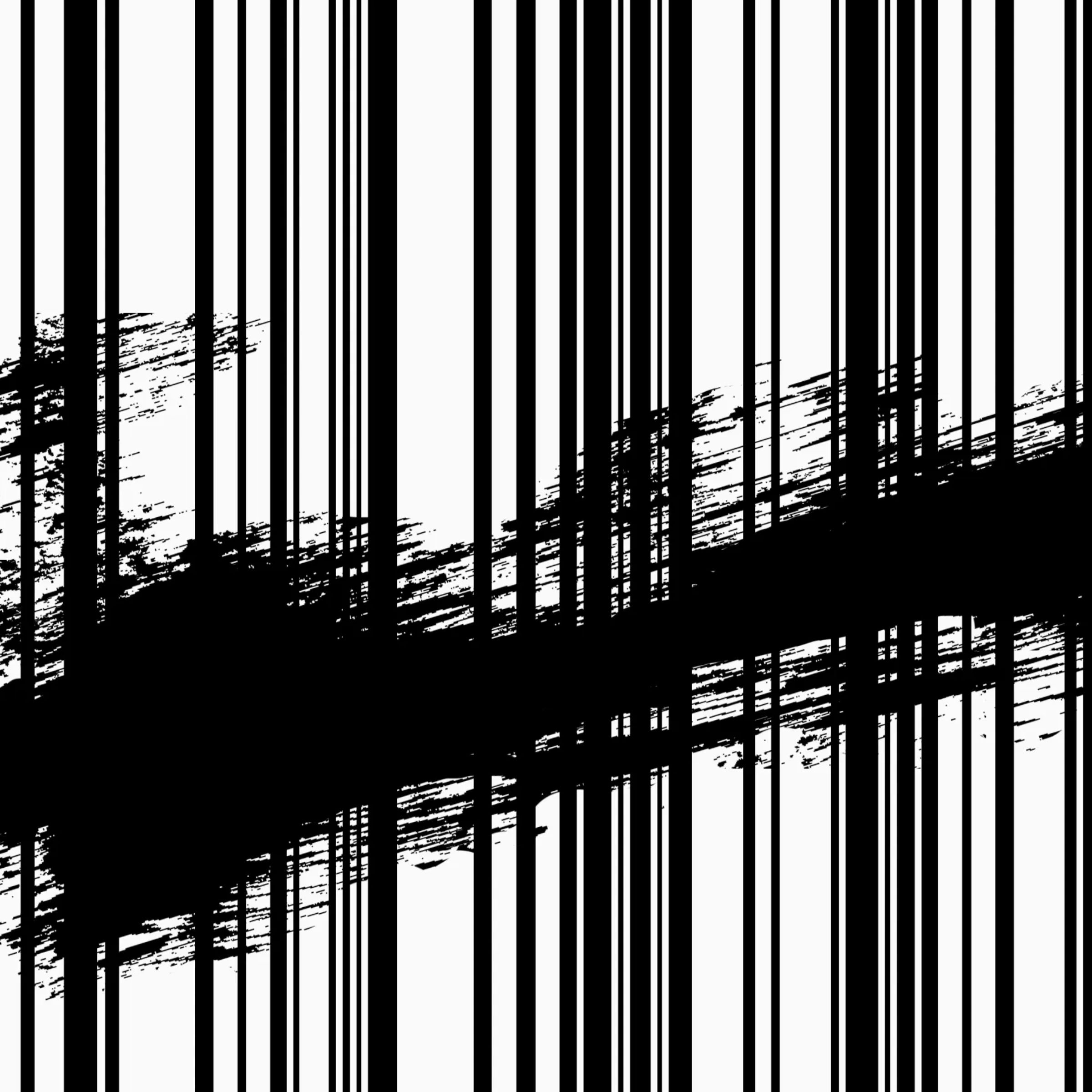 Broken_Barcodes