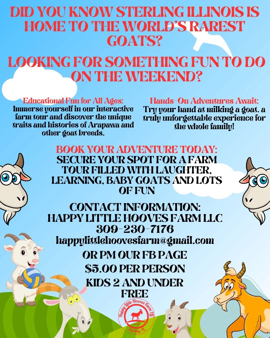 Happy Little Hooves Farm: Premier Petting Zoo Experience