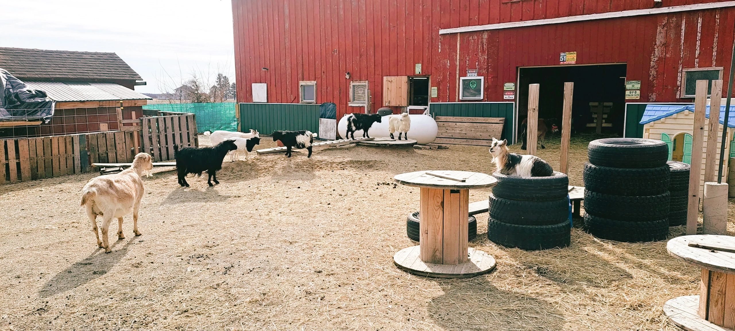 Happy Little Hooves Farm