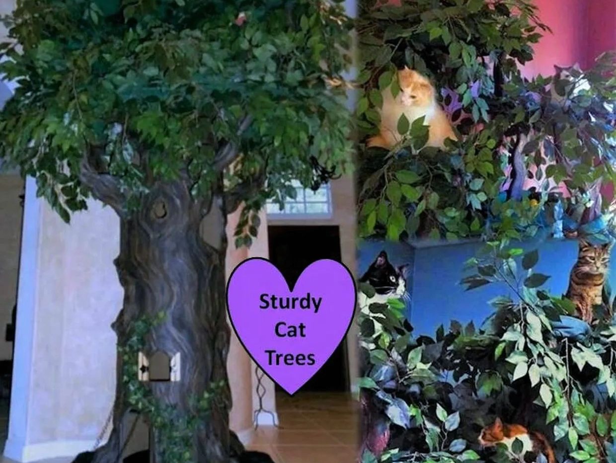 About a Fantasy Forest Cat Trees