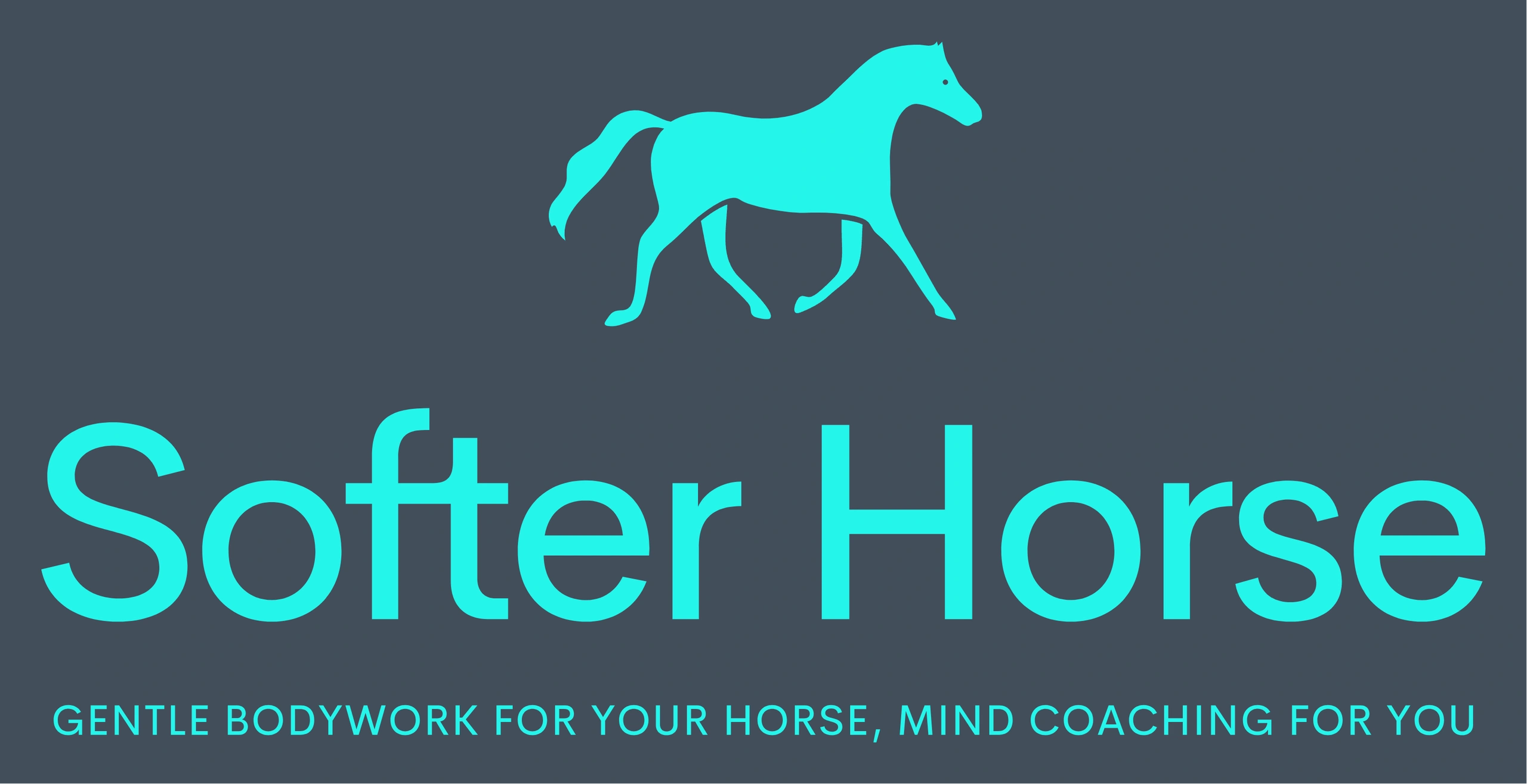 SOFTER HORSE - Home