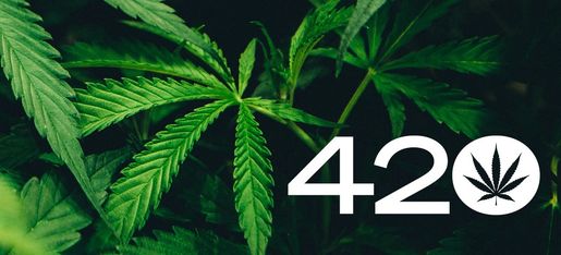 Square 1 Genetics/ Robin Hood Seeds