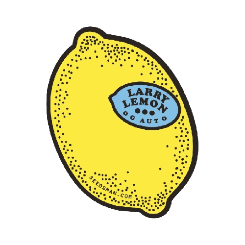 Lemon Larry OG Auto Feminized 3 Pack