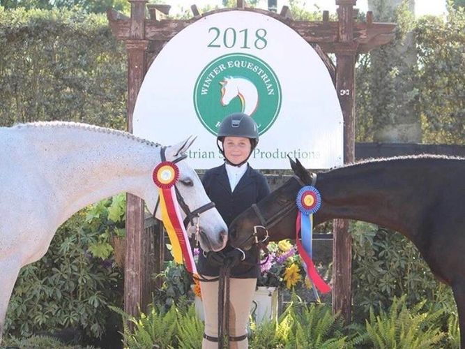 Hunter Tail Extension - Blue Ribbon Braids