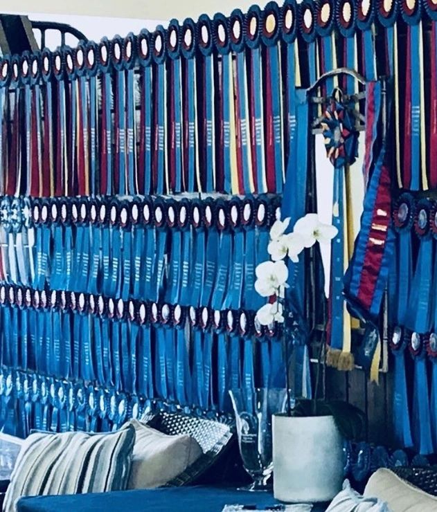 Hunter Tail Extension - Blue Ribbon Braids