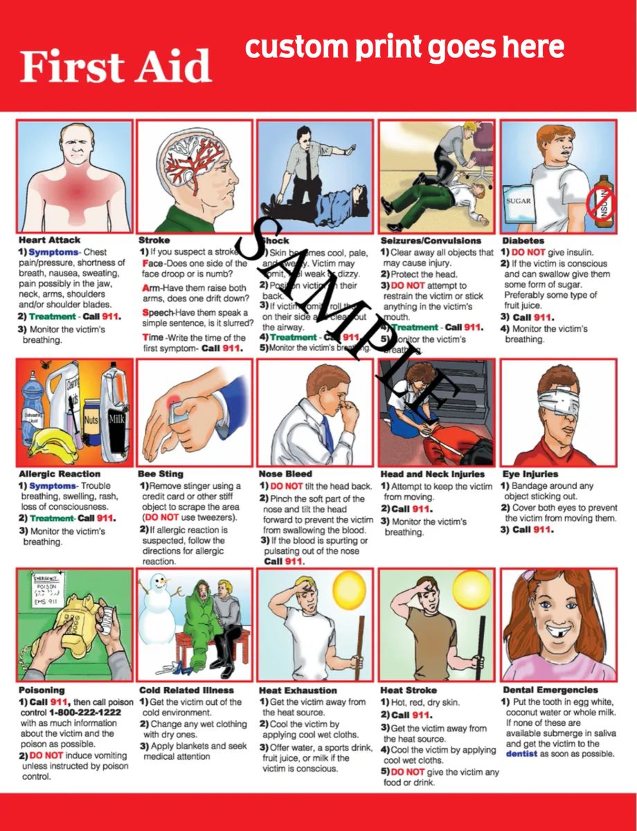 Laminated First Aid Chart