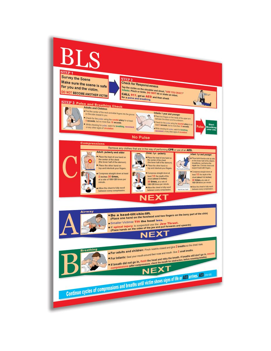Laminated BLS Chart