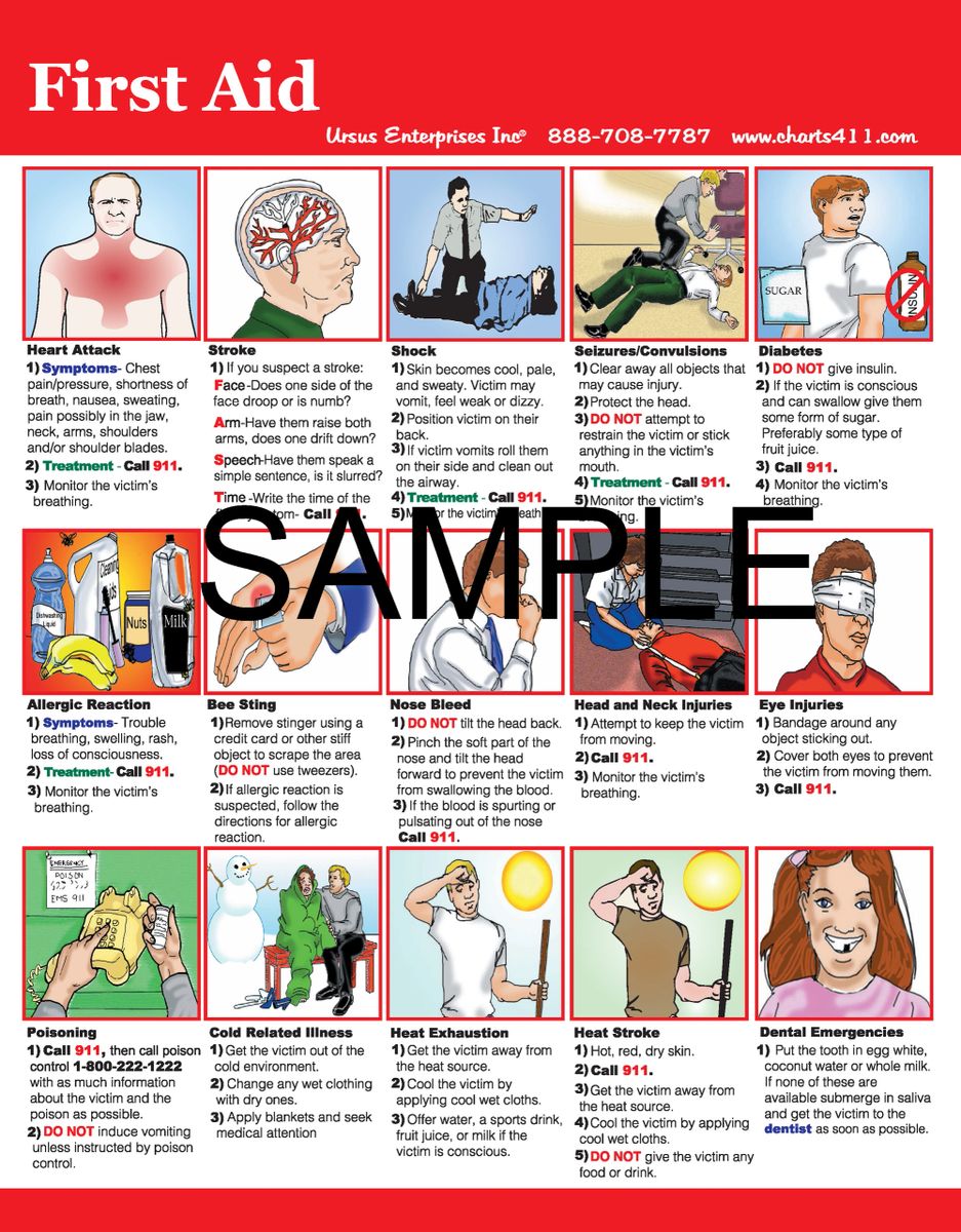 First Aid 8.5" x 11" Chart