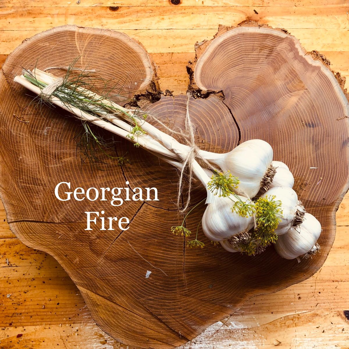 Georgian Fire Gourmet Garlic - 10 Heads