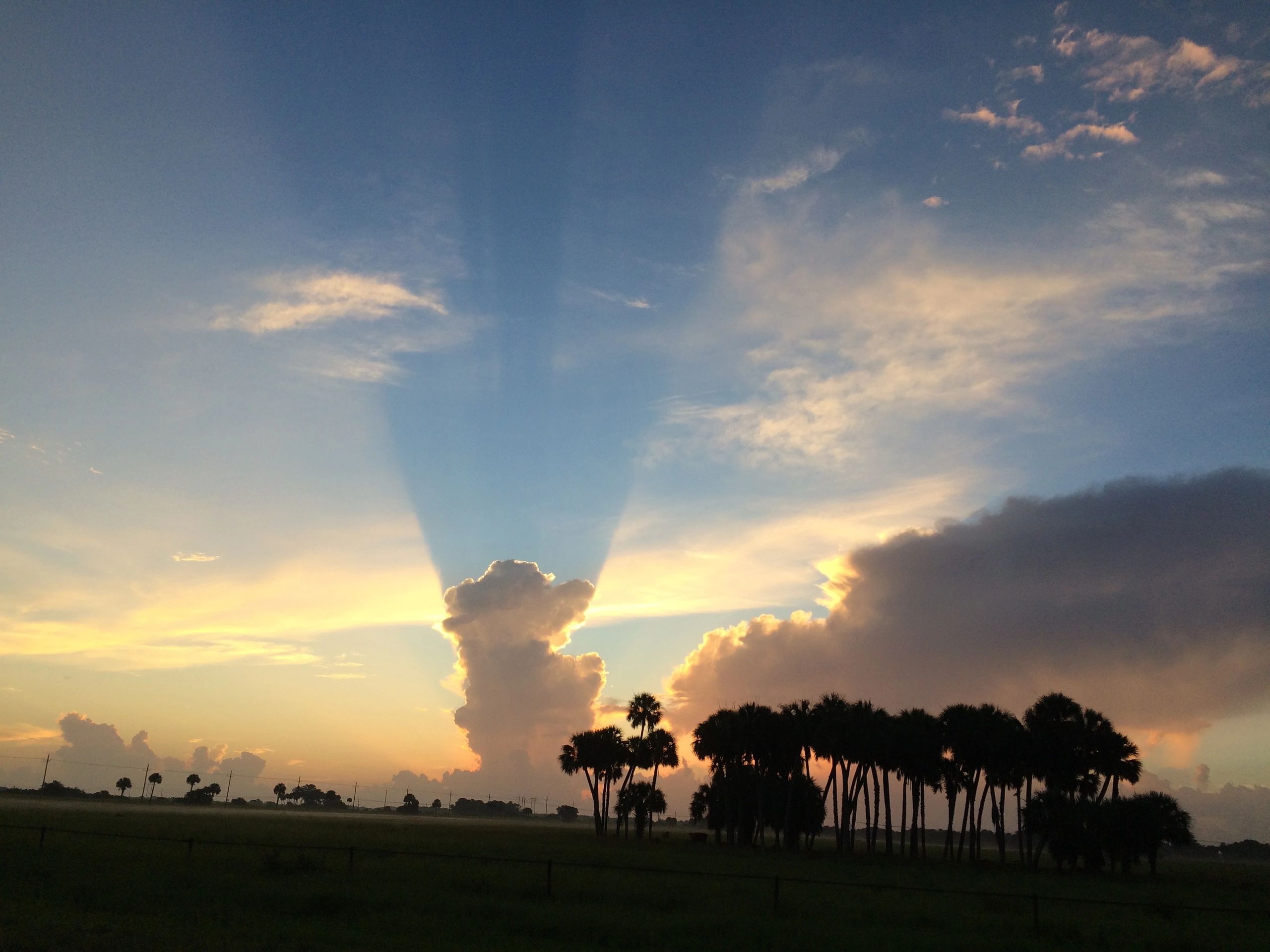Florida Land Management Services, Inc.