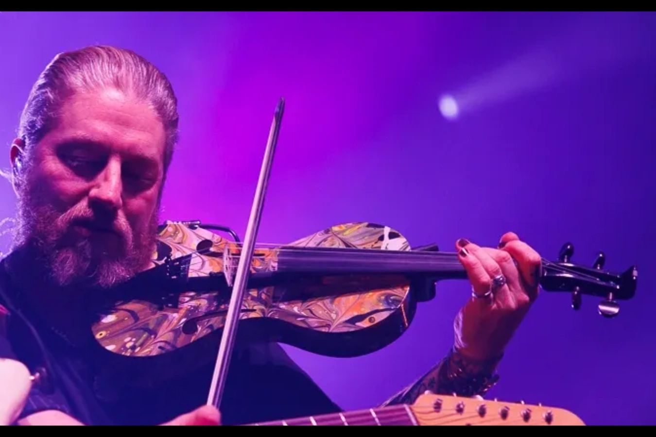 Buy a Professional Violin Online