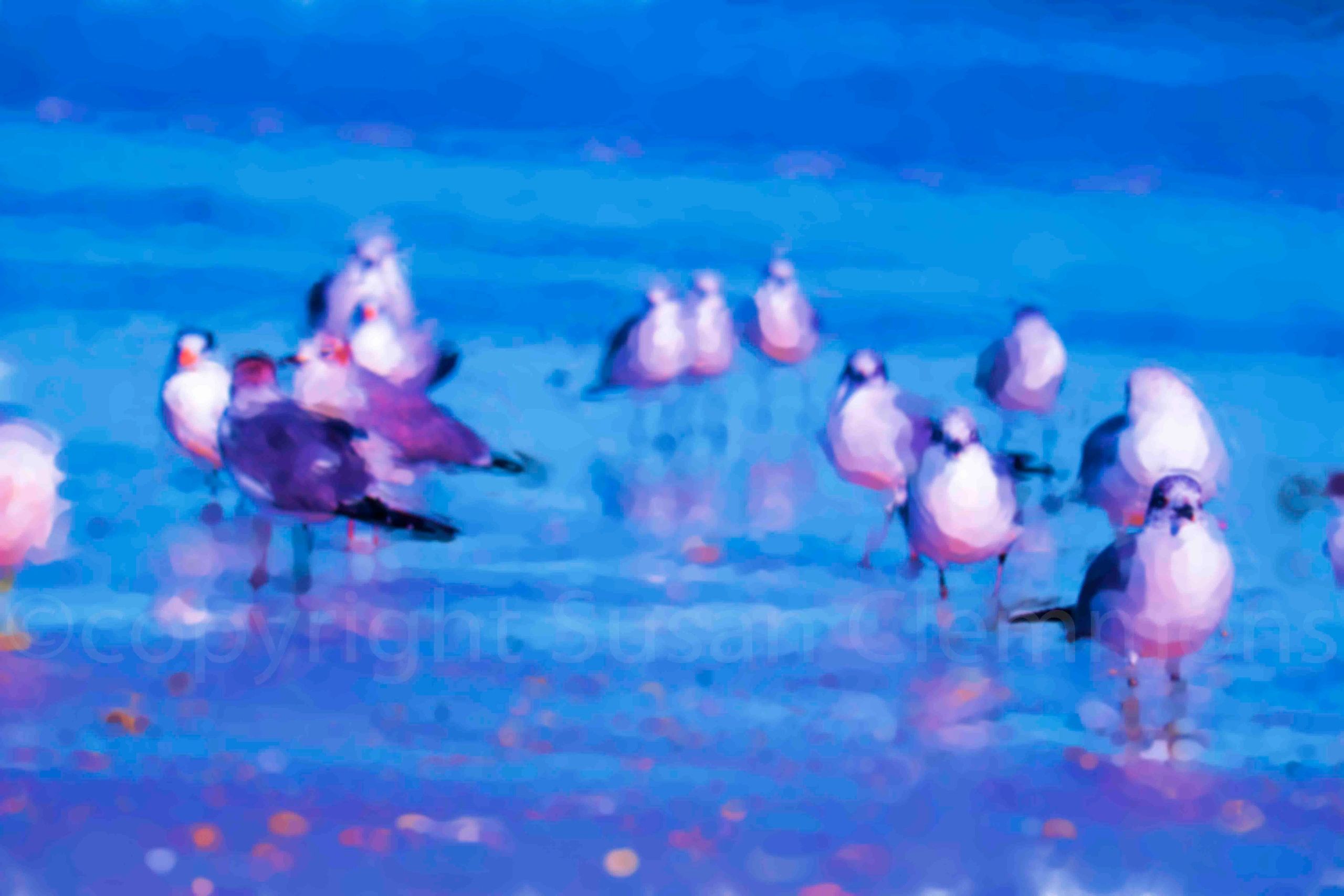 Susan Clemmons Art - Wall Art, Art, Canvas Prints