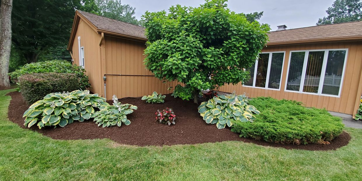 The Shrub Guys - Landscaping, Windsor