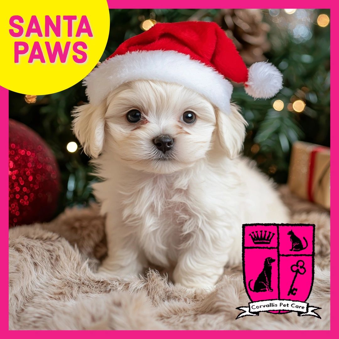 Santa Paws Photos in Corvallis & Other Pet Friendly Events