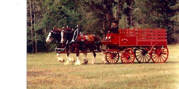 Wagons and Tack | Animal Casting Atlanta