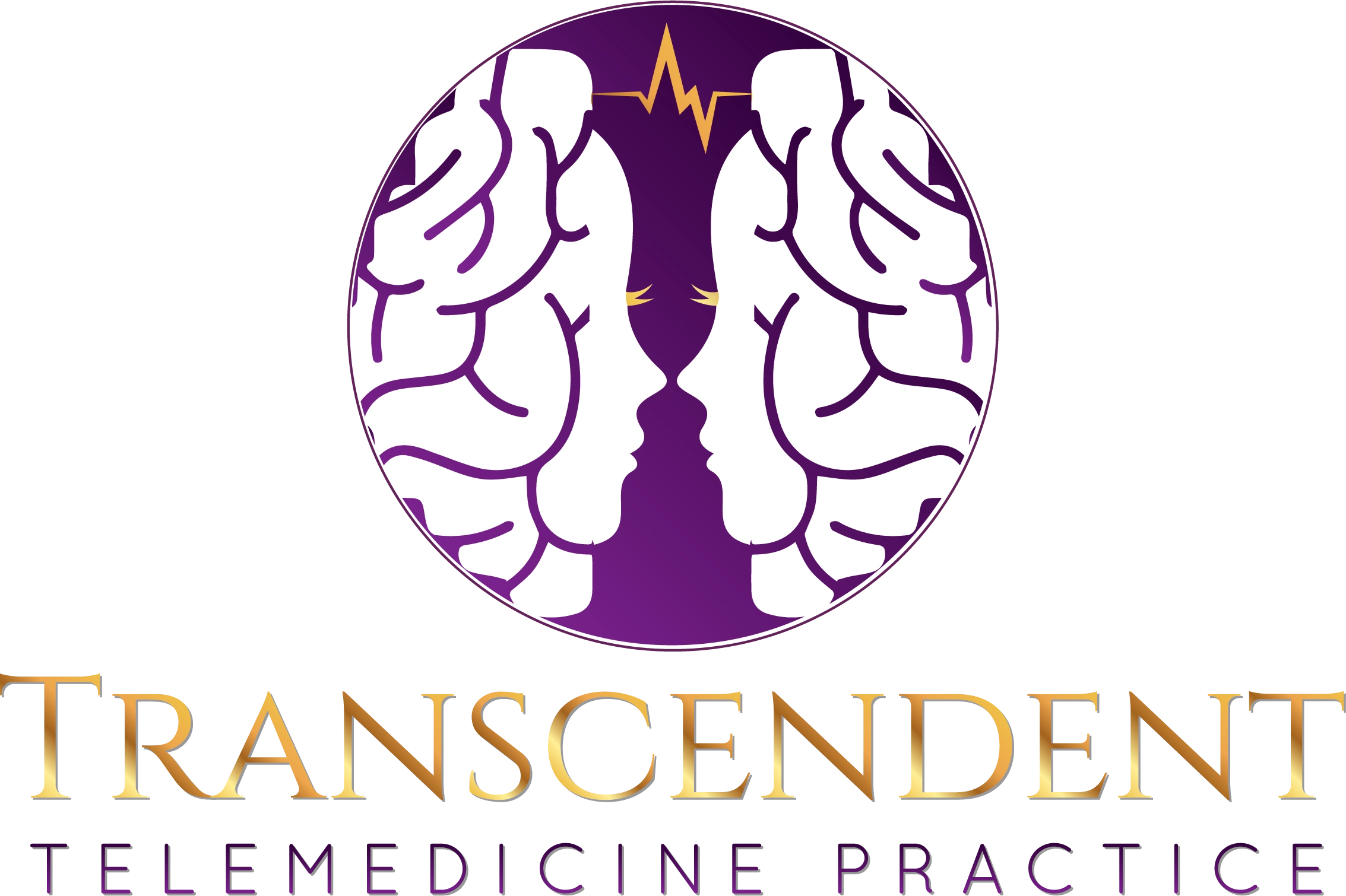 Transcendent TeleMedicine Practice LLC