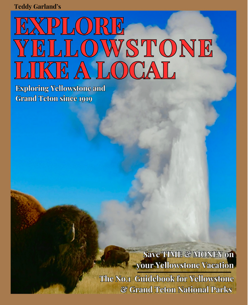 2025 Guidebook-PDF (Read all the INFO below before ordering)