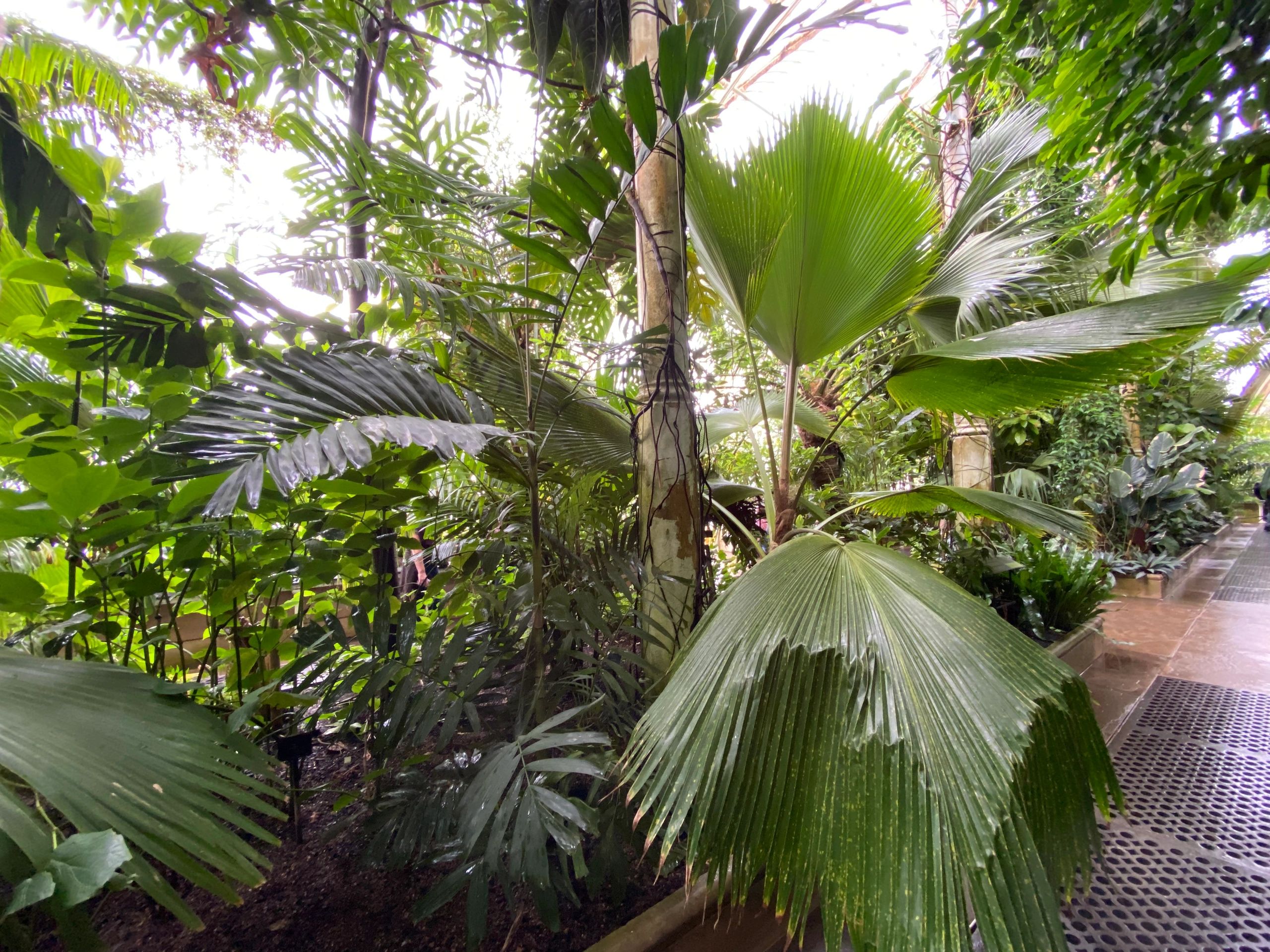 4 Wheels Good 2 Wheels Bad