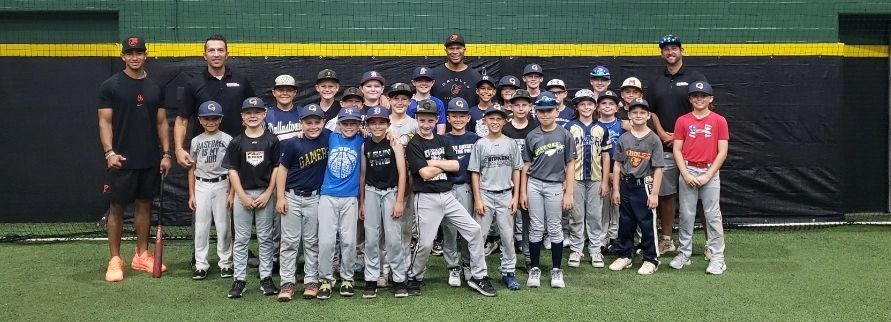 The Baseball Warehouse - Baseball Instruction, Baseball Camps