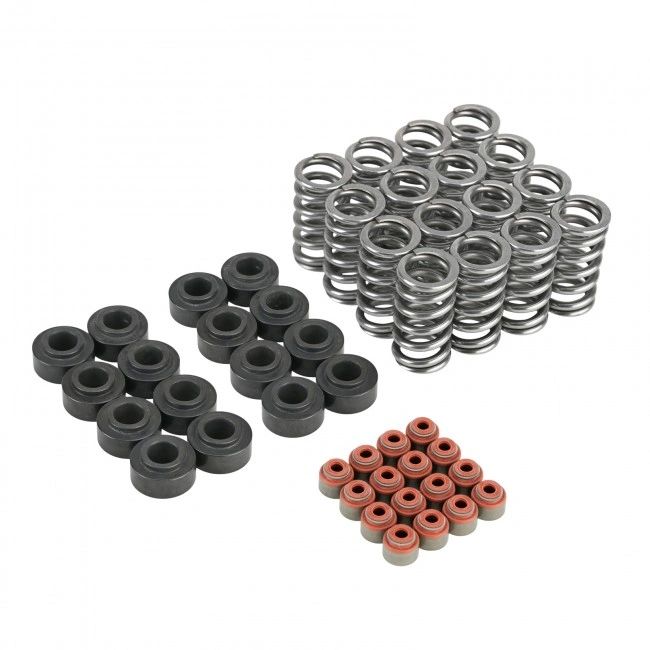 SKUNK2 ULTRA RACING VALVE SPRINGS, 17-21 10TH GEN CIVIC TYPE-R FK8 ...
