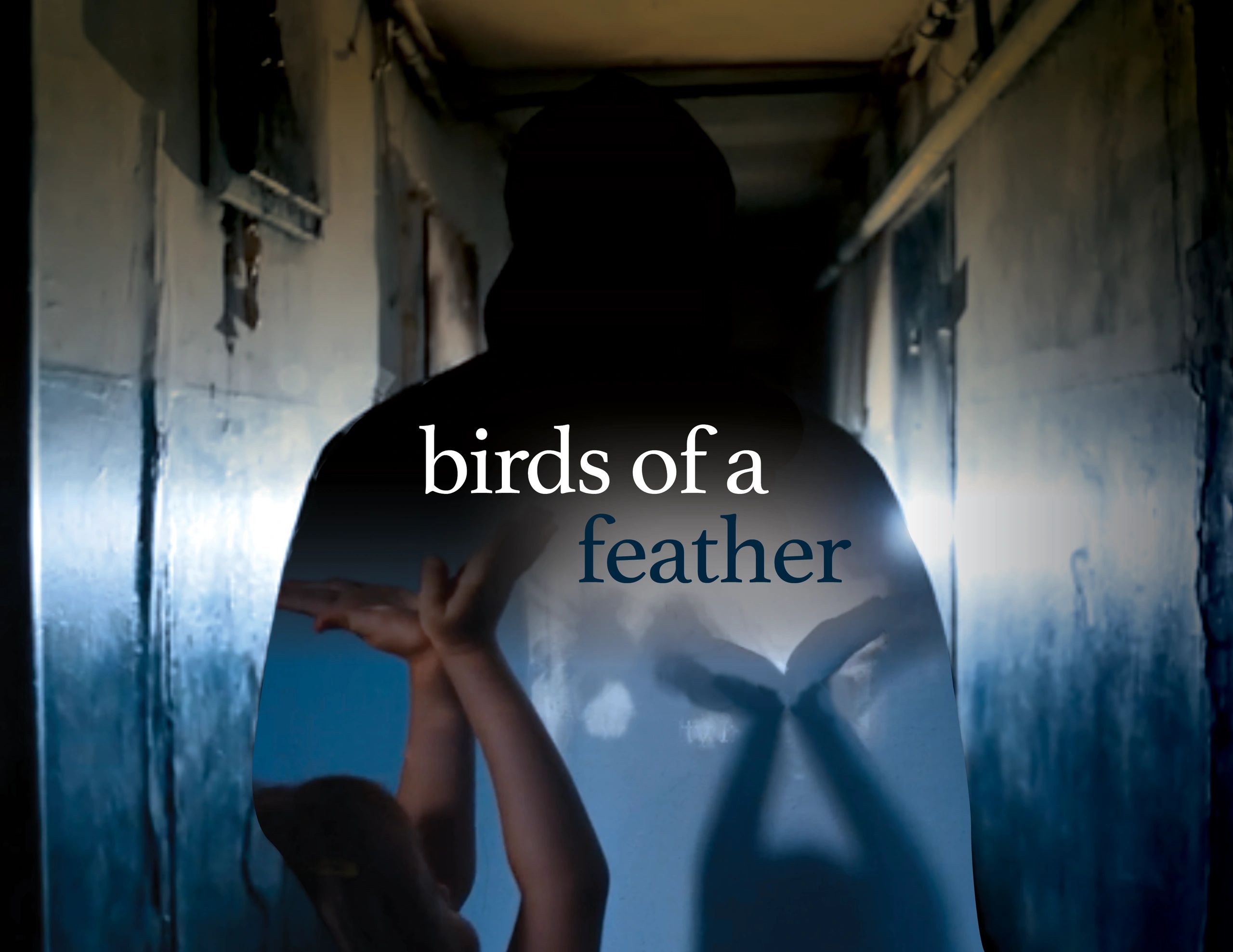 Birds of a Feather Film