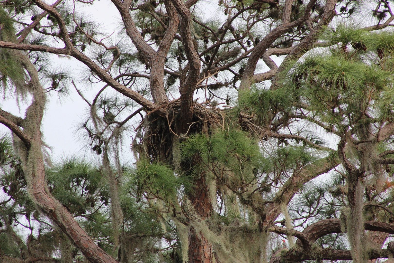 Steinbaum and Associates, Inc.