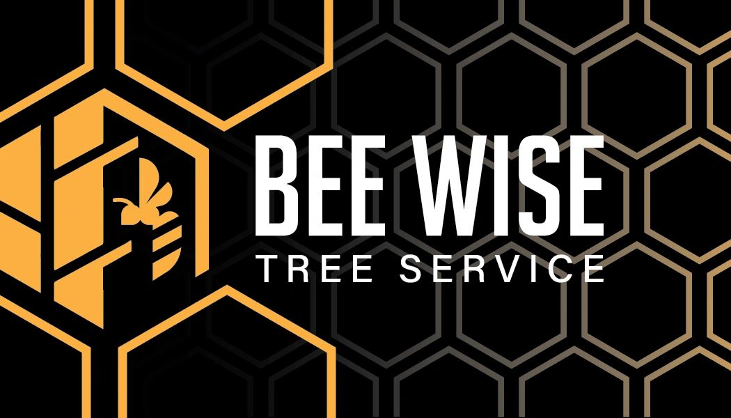 Expert Tree Service in Your Area