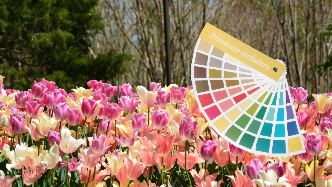 Colorimetría 12 Estaciones: Primavera y sus Subestaciones