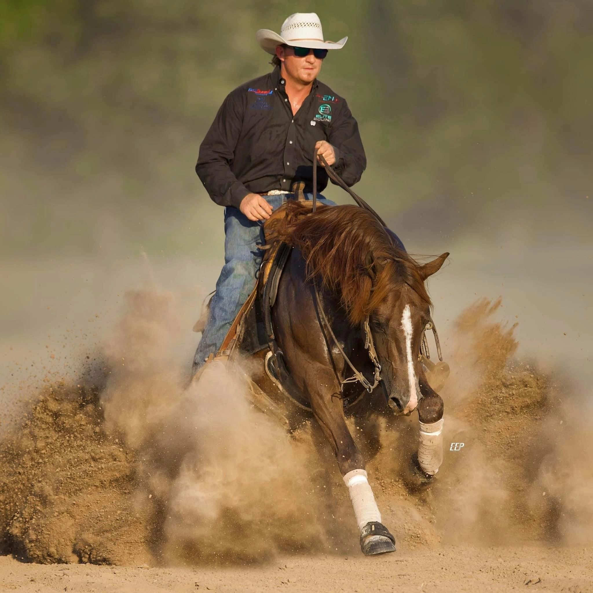 Experienced Horse Trainer for All Breeds