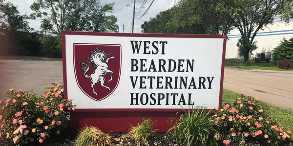 Bearden Vet