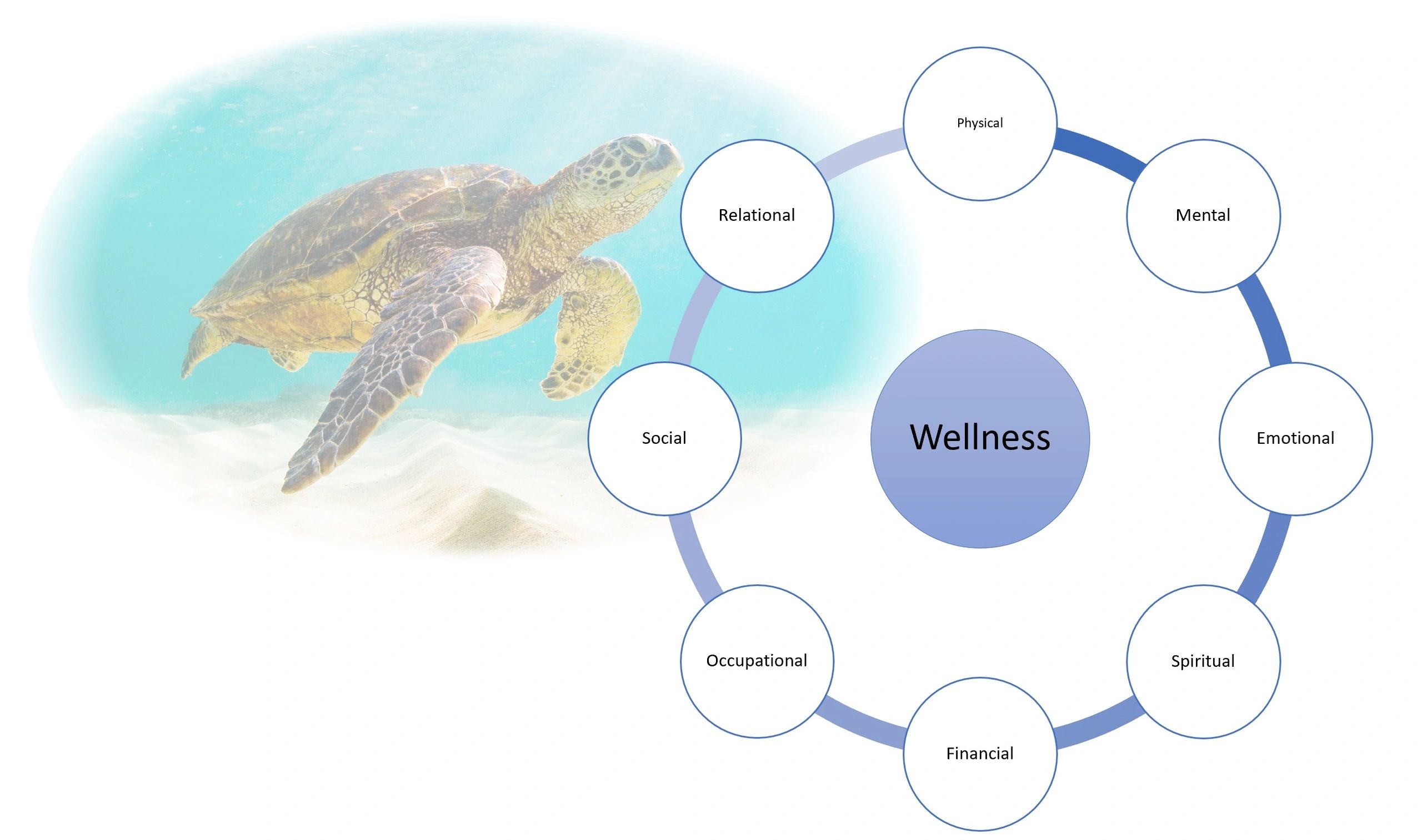 Introduction to Wellness