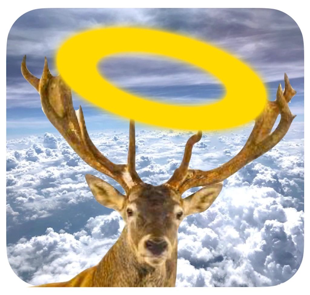 Find Game Meat with the Roadkill Art App