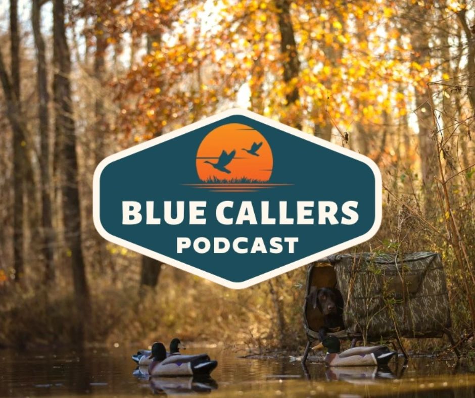 Blue Callers Podcast