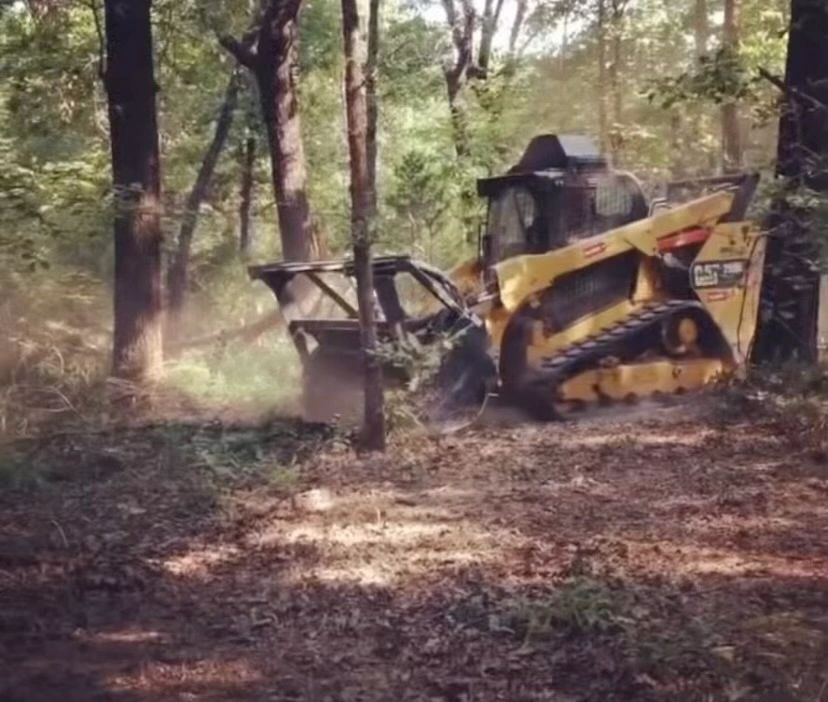 Professional Land Clearing Services | Gorbet Land Services