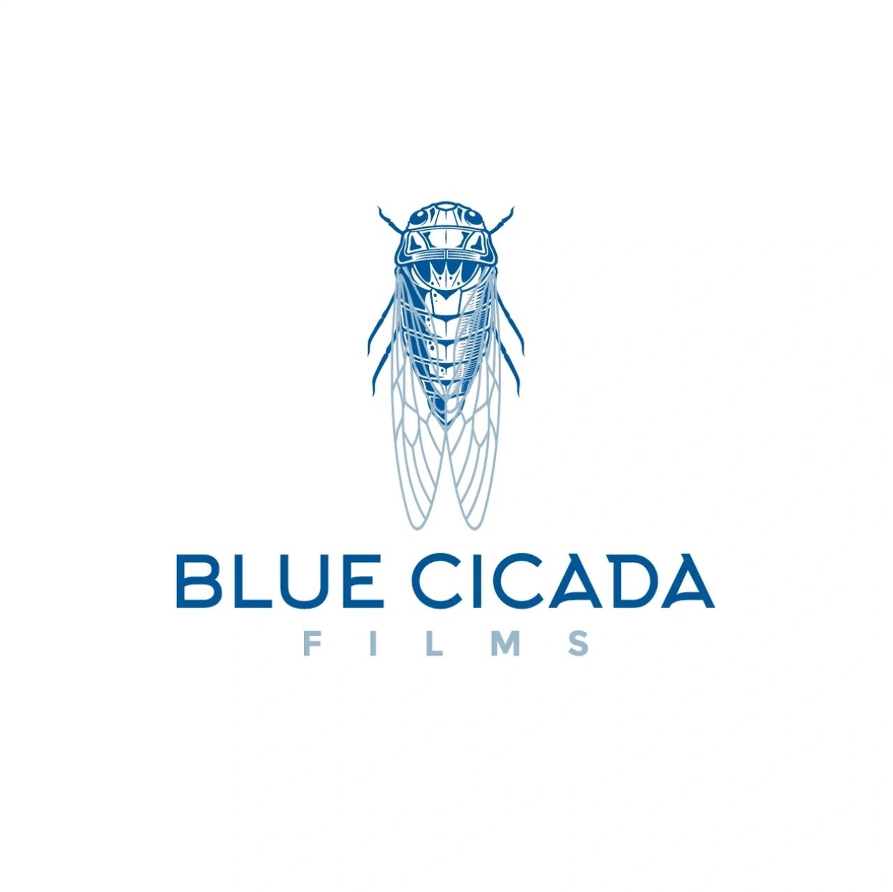Blue Cicada: Innovative Films and Storytelling