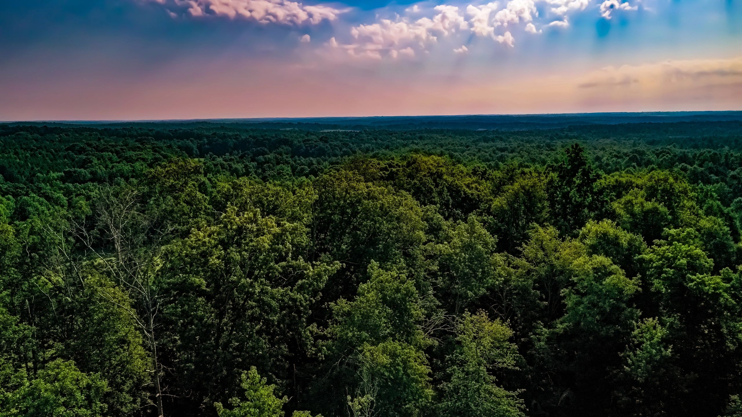 AP Aerials - Drone Photography and Video