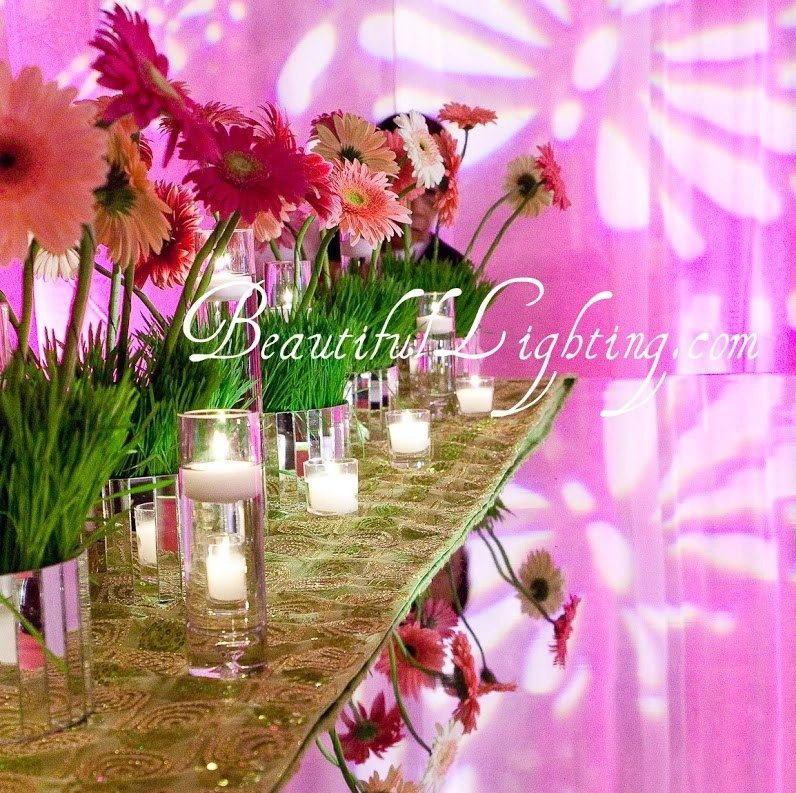 Beautiful Lighting for your Events
