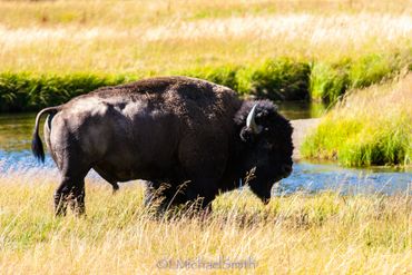 Buffalo Soldiers AZ Territory Monument