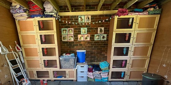 Guinea Pig Boarding - Wheek Retreat - Shalford, England