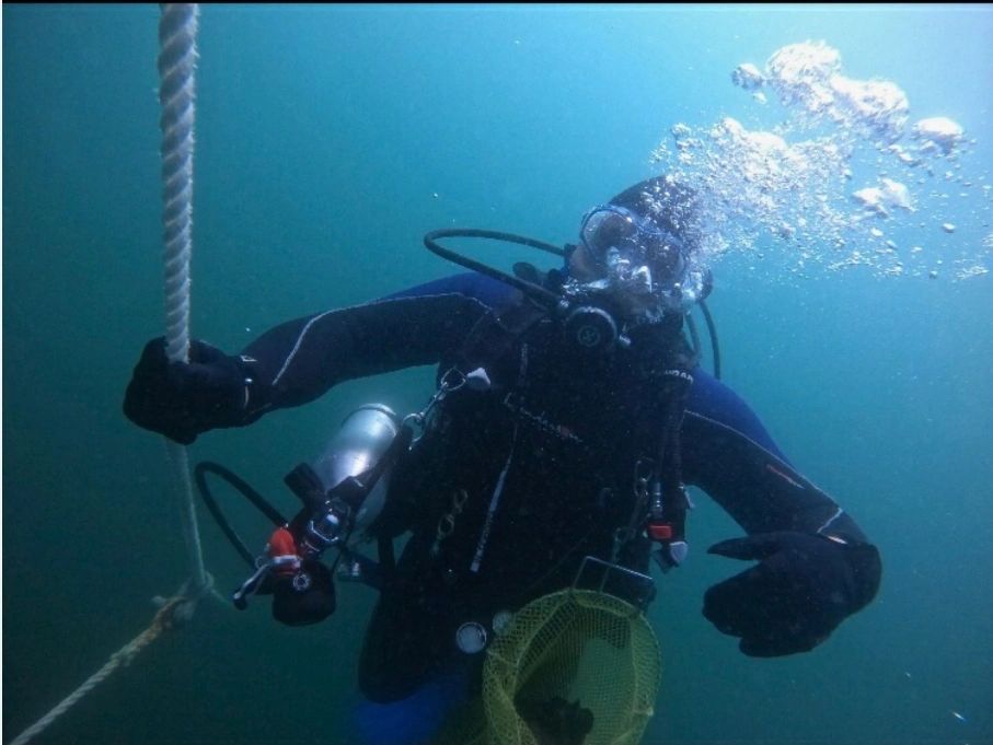 Commercial dive services | Curlew Bay Dive Service