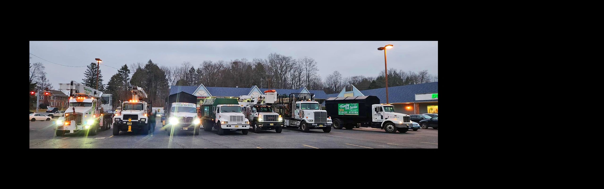 Gallery | Family tree NJ