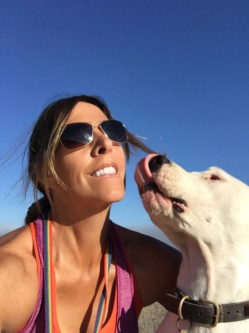 Flying fur dog training