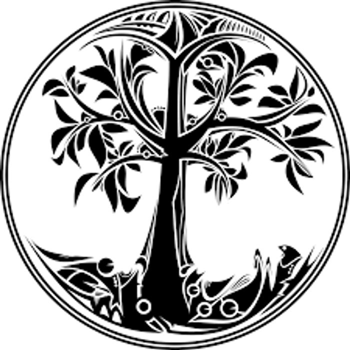 Tree of Life Coaching - Life Coaching, Life Coach, Public Speaking