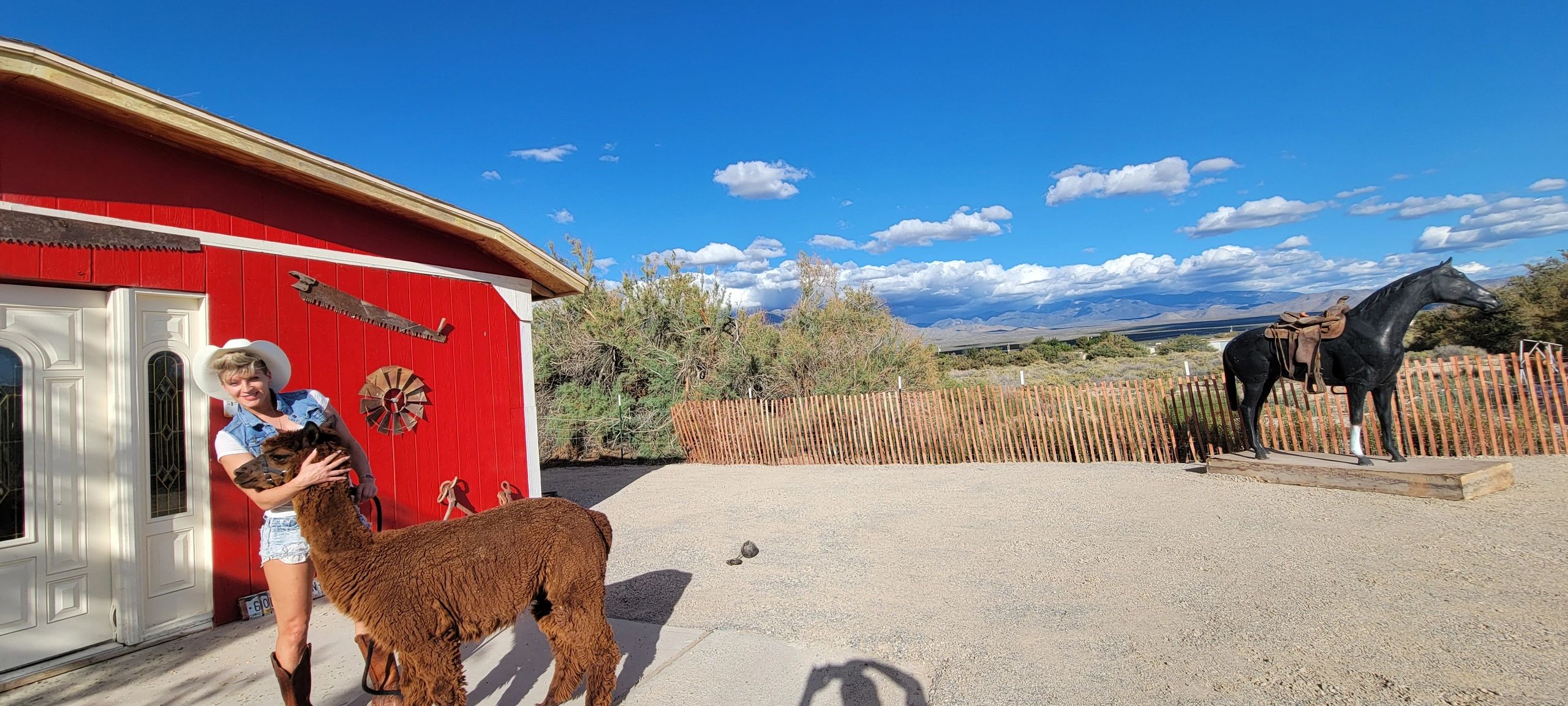 Nature Health Farms Airbnb Farm Experience in Pahrump Nevada