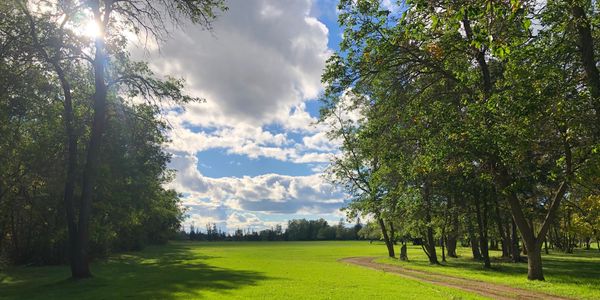 Tournament Information